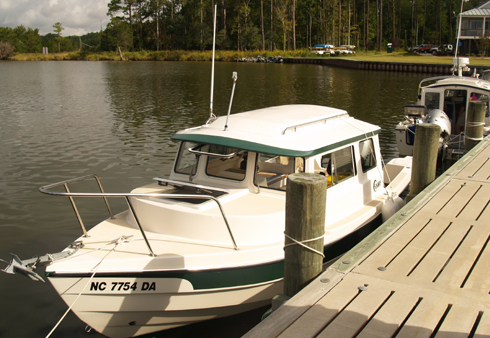 Nice C-Dory | The C-Brats