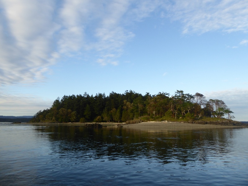 Turn Island | The C-Brats